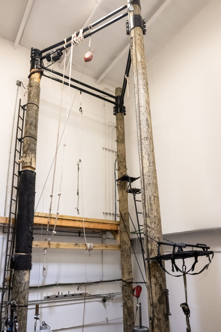 Treestands, Fall Arrest Harnesses and Lifelines - SGS TEC Services